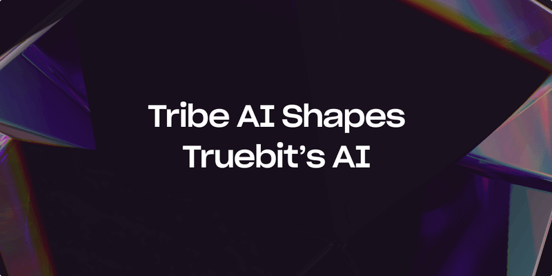 Case Study: Insurance Company Uses ML to Optimize Pricing | Tribe AI